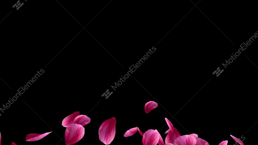 Animated Falling Flowers