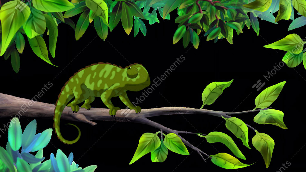 Chameleon Changing Color Gif
