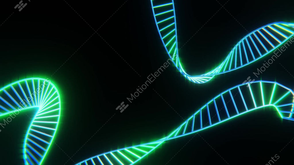 Dna Structure Animation